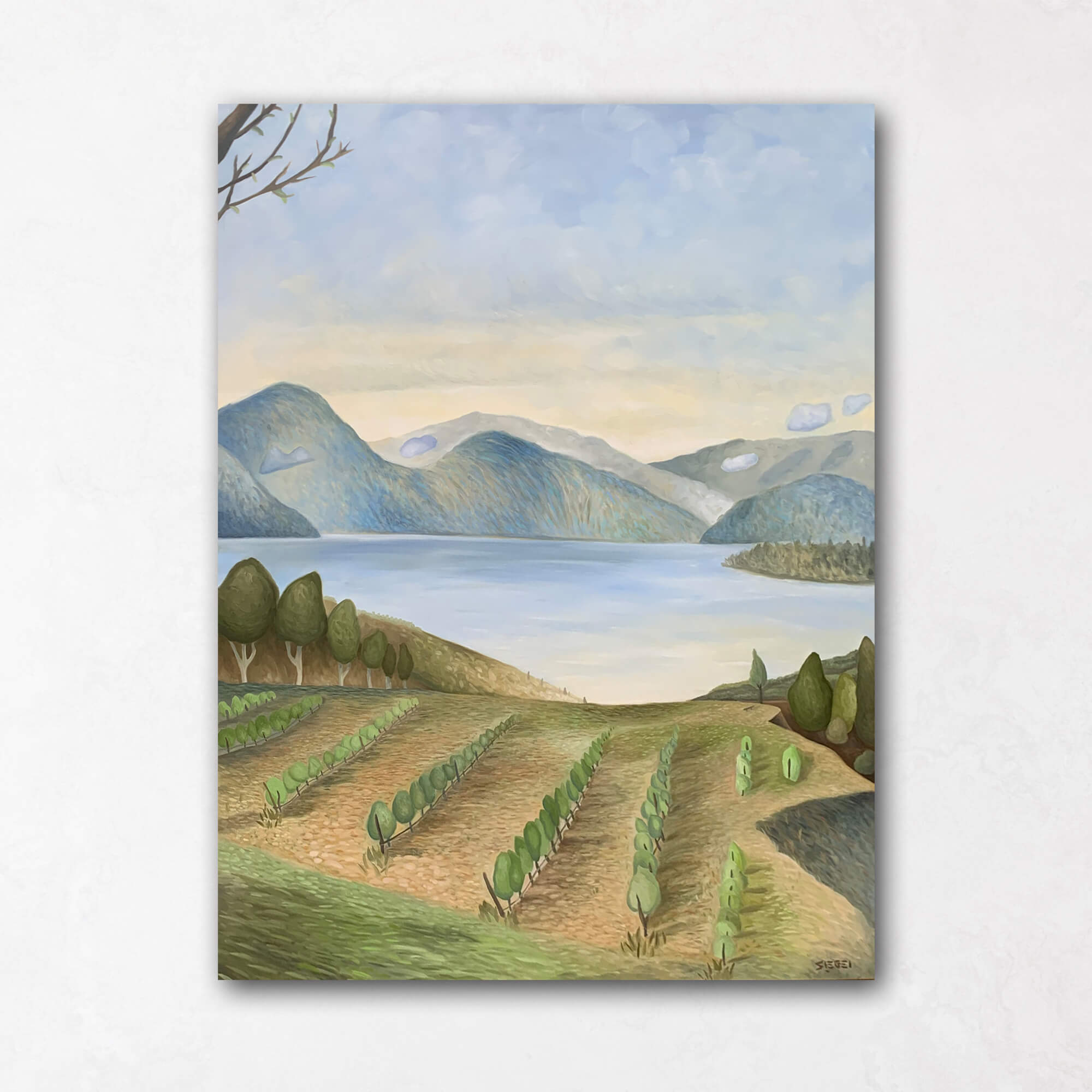 Naramata Vineyard Paintings | Oil Paintings by Vancouver Artist | Sam's ...
